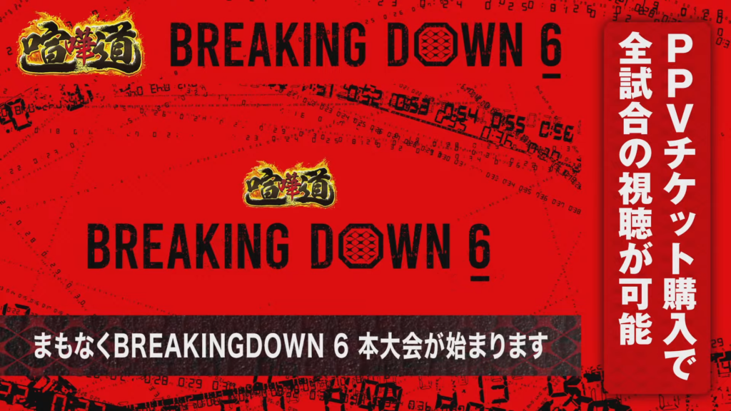 6オーディション | ブレイキングダウン名鑑